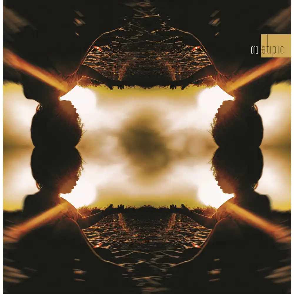 adrian niculae feat. dinu - atipic010 house minimal vinyl-only - Disco Più