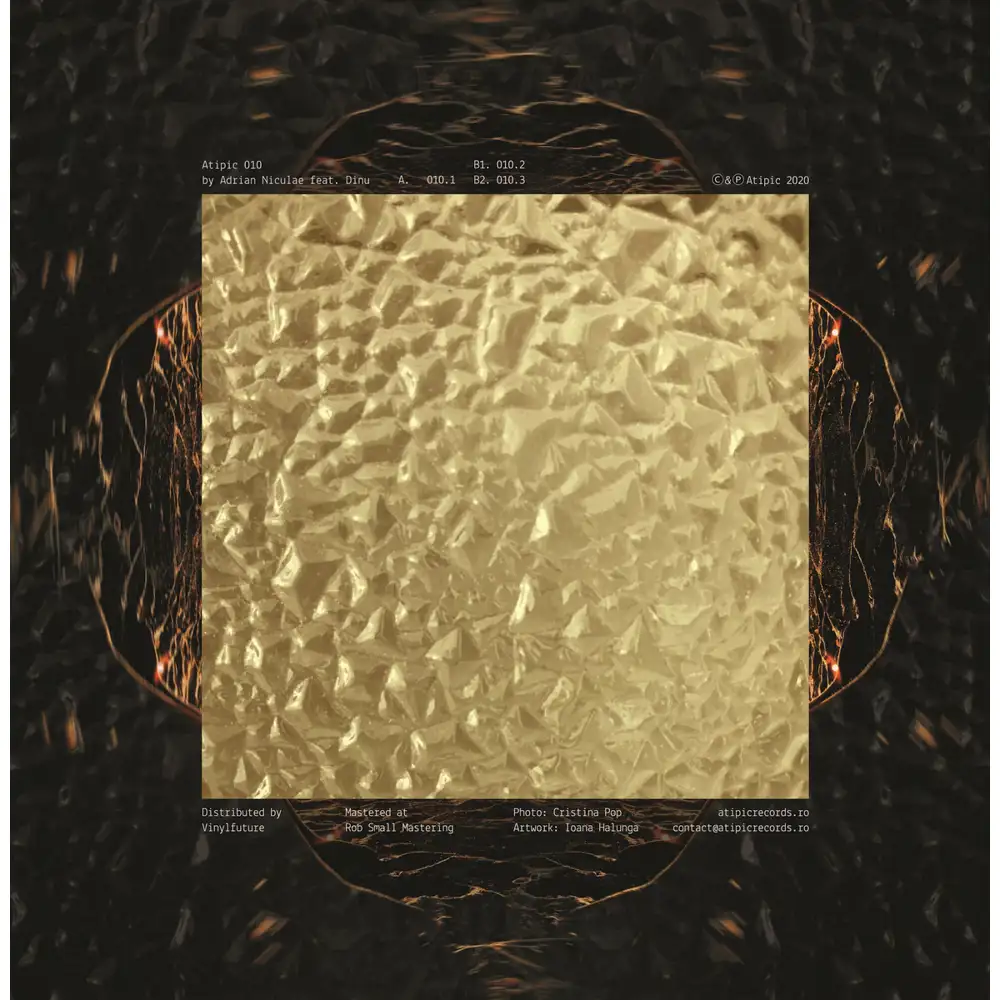 adrian niculae feat. dinu - atipic010 house minimal vinyl-only - Disco Più