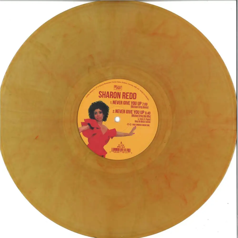 sharon redd - never give you up house disco pop - Disco Più